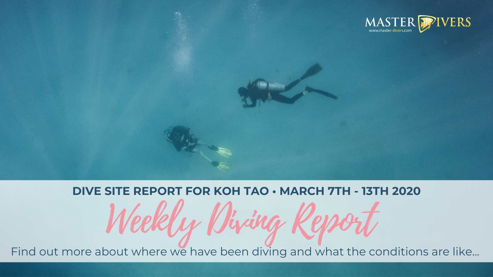 Weekly-Diving-Report-March-7th-13th-2020 - Master Divers Koh Tao